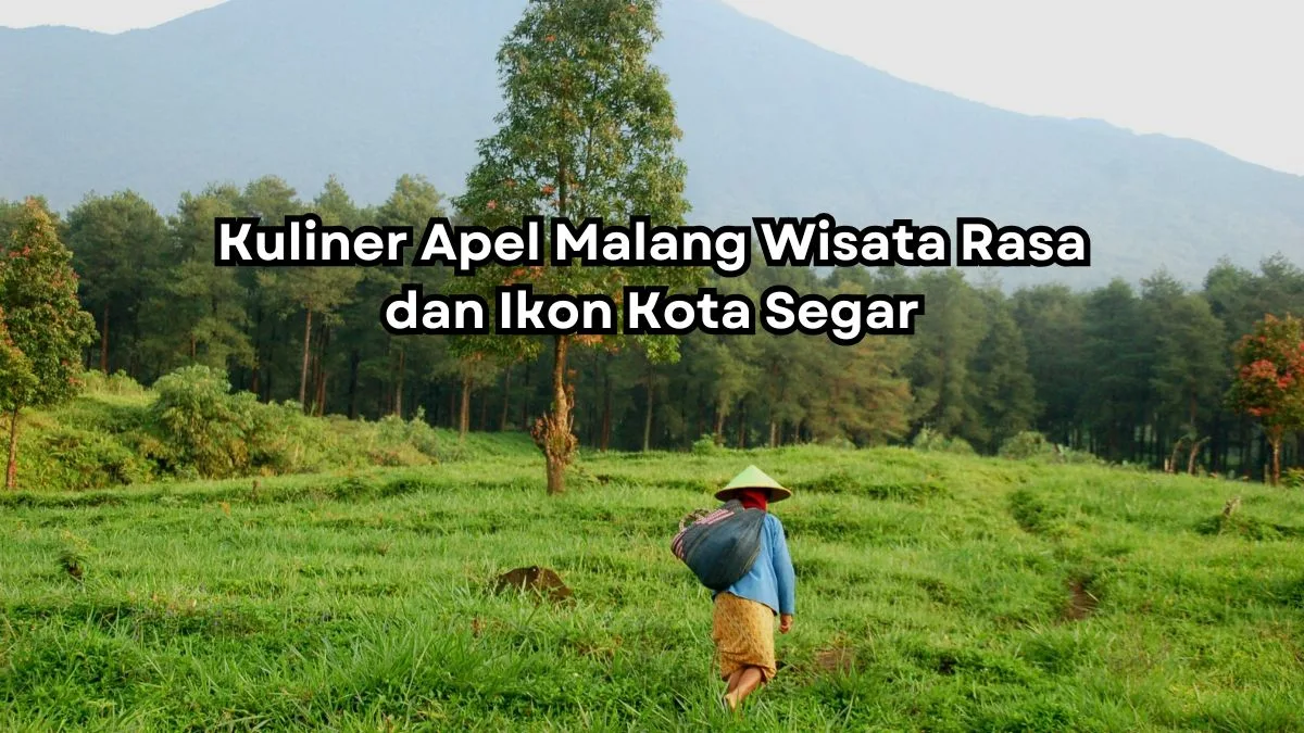 Kuliner Apel Malang Wisata Rasa dan Ikon Kota Segar - Golan Nusantara